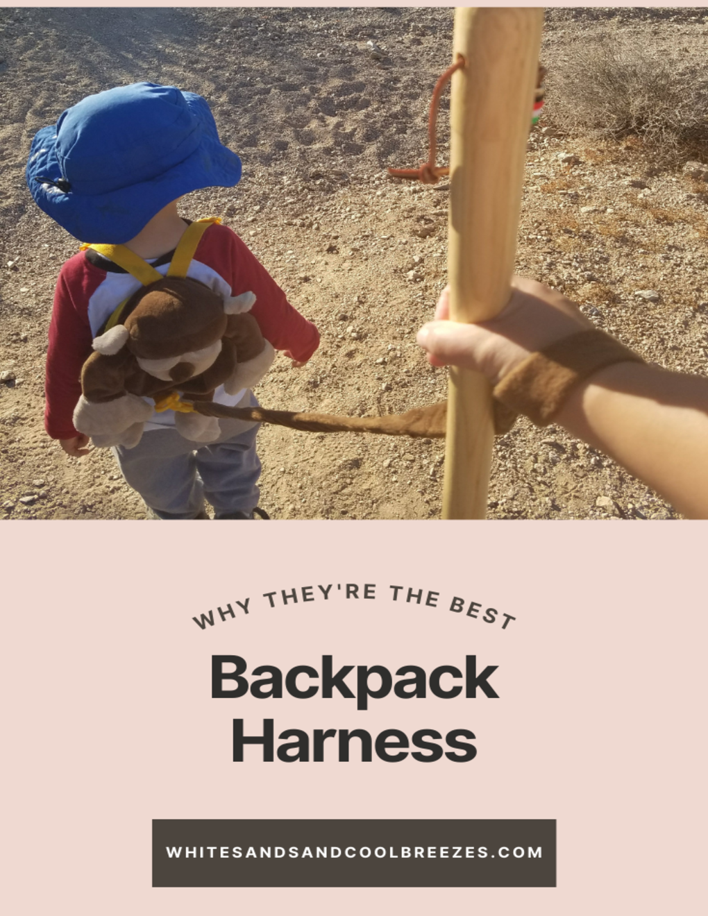Using A Backpack Harness: How To Overcome The Stigma - White Sands and ...