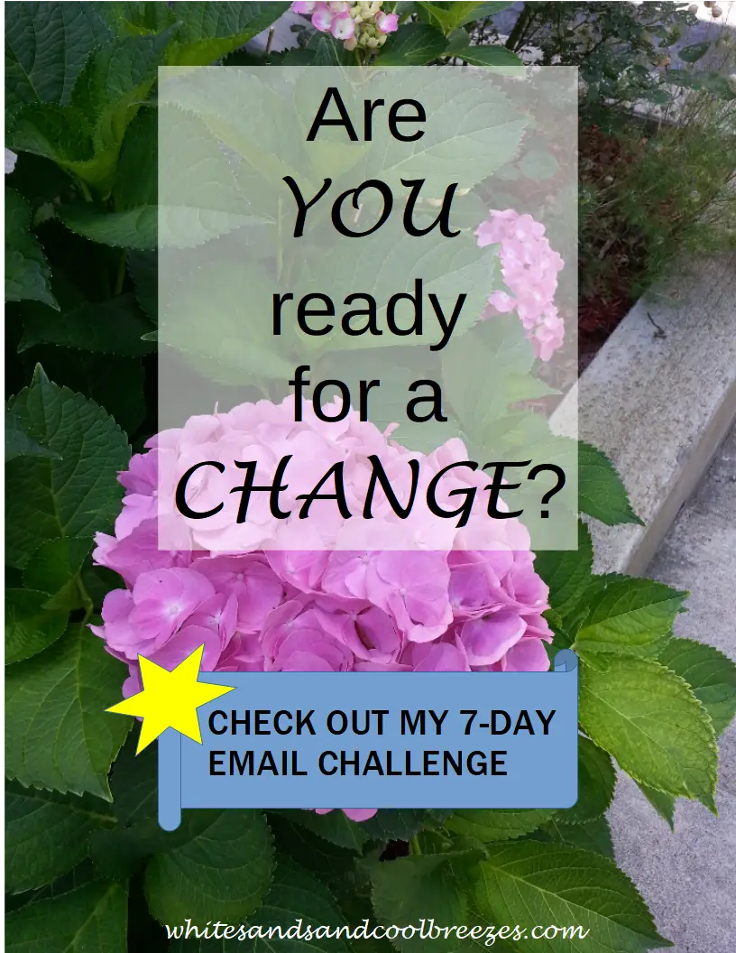 How To Jump Start Your Better Life - White Sands and Cool Breezes