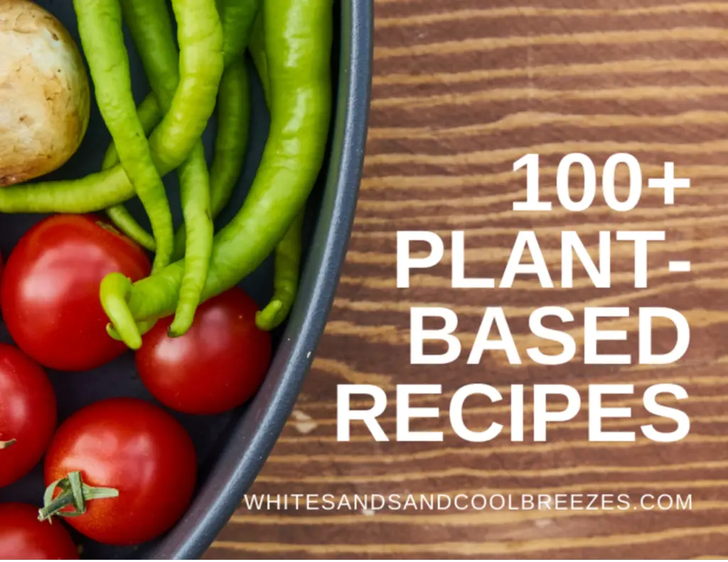 100+ Plant-Based Recipes You'll Love - White Sands and Cool Breezes